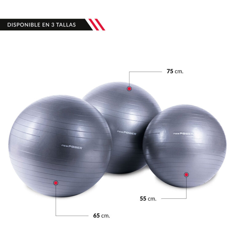 Pelota de Ejercicio Fitball 65 cm. - Newpower